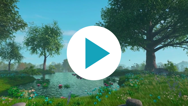 Applications - Magic Horizons